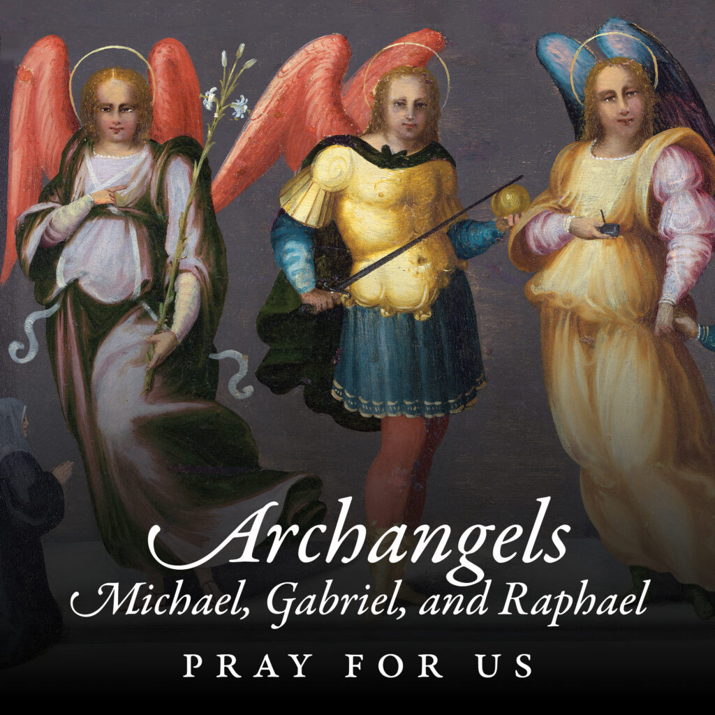 Collection – Diocesan Library of Art