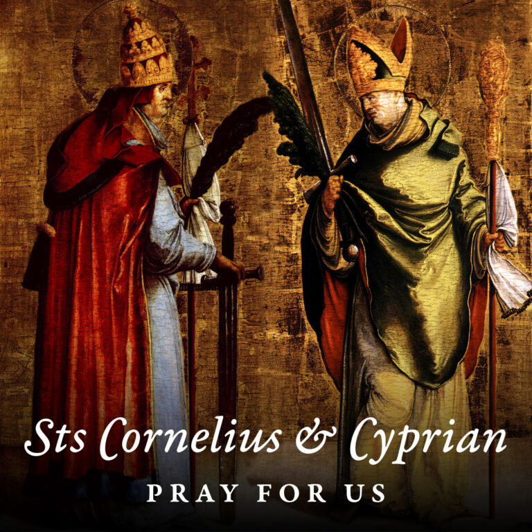 Collection – Diocesan Library of Art