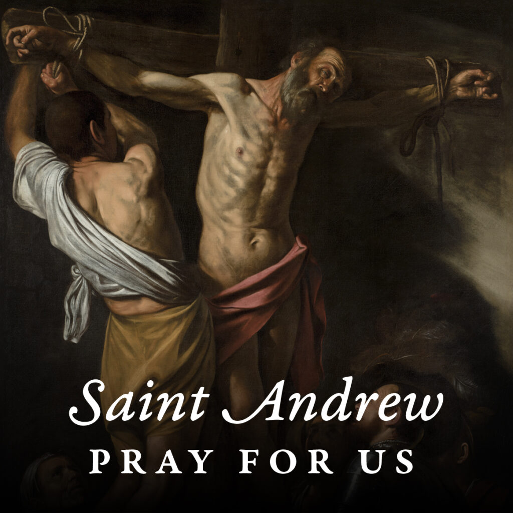 Collection – Diocesan Library of Art