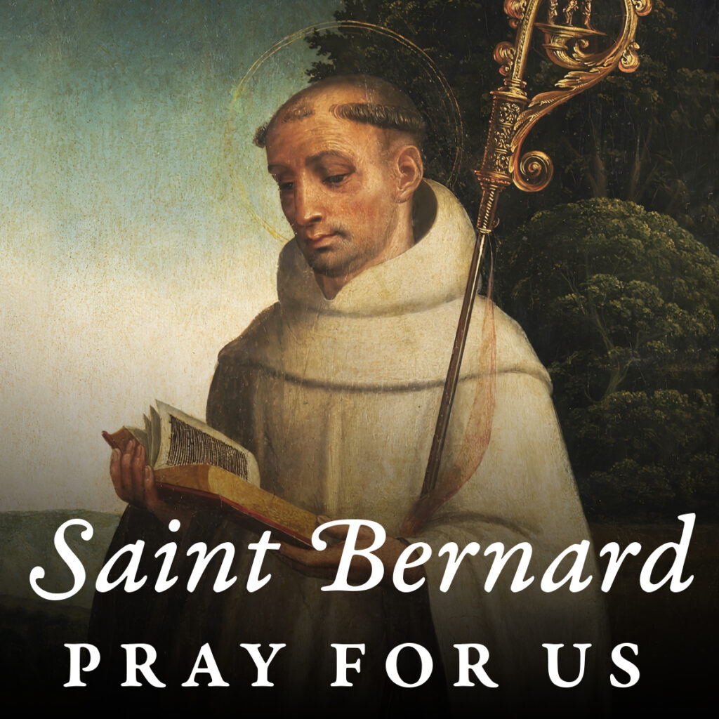 Collection – Diocesan Library of Art