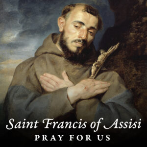 Collection – Diocesan Library of Art