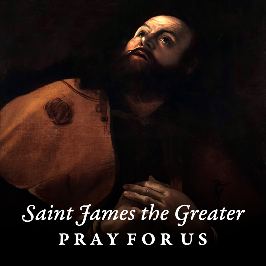 Collection – Diocesan Library of Art