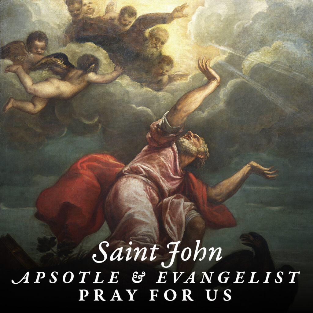 Collection – Diocesan Library of Art