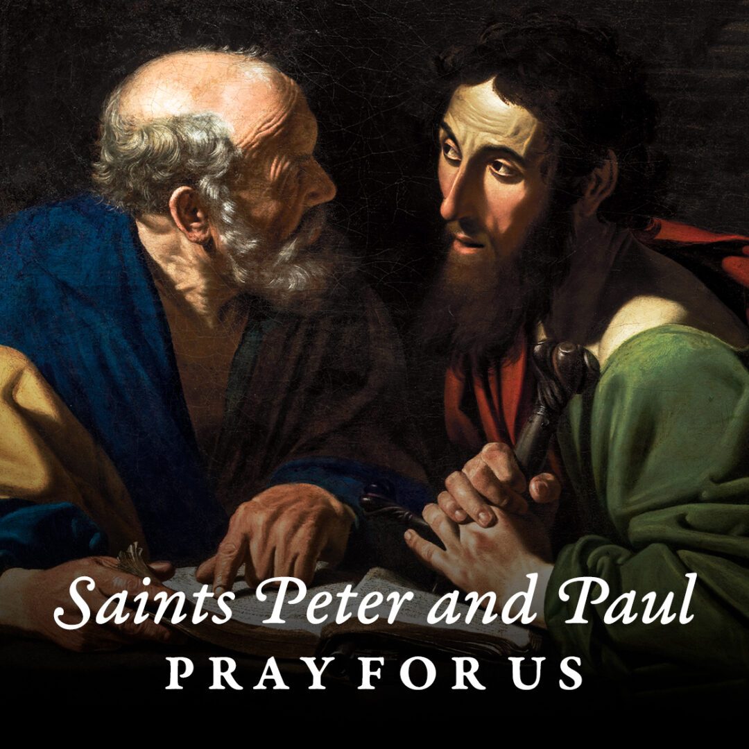 Collection – Diocesan Library of Art