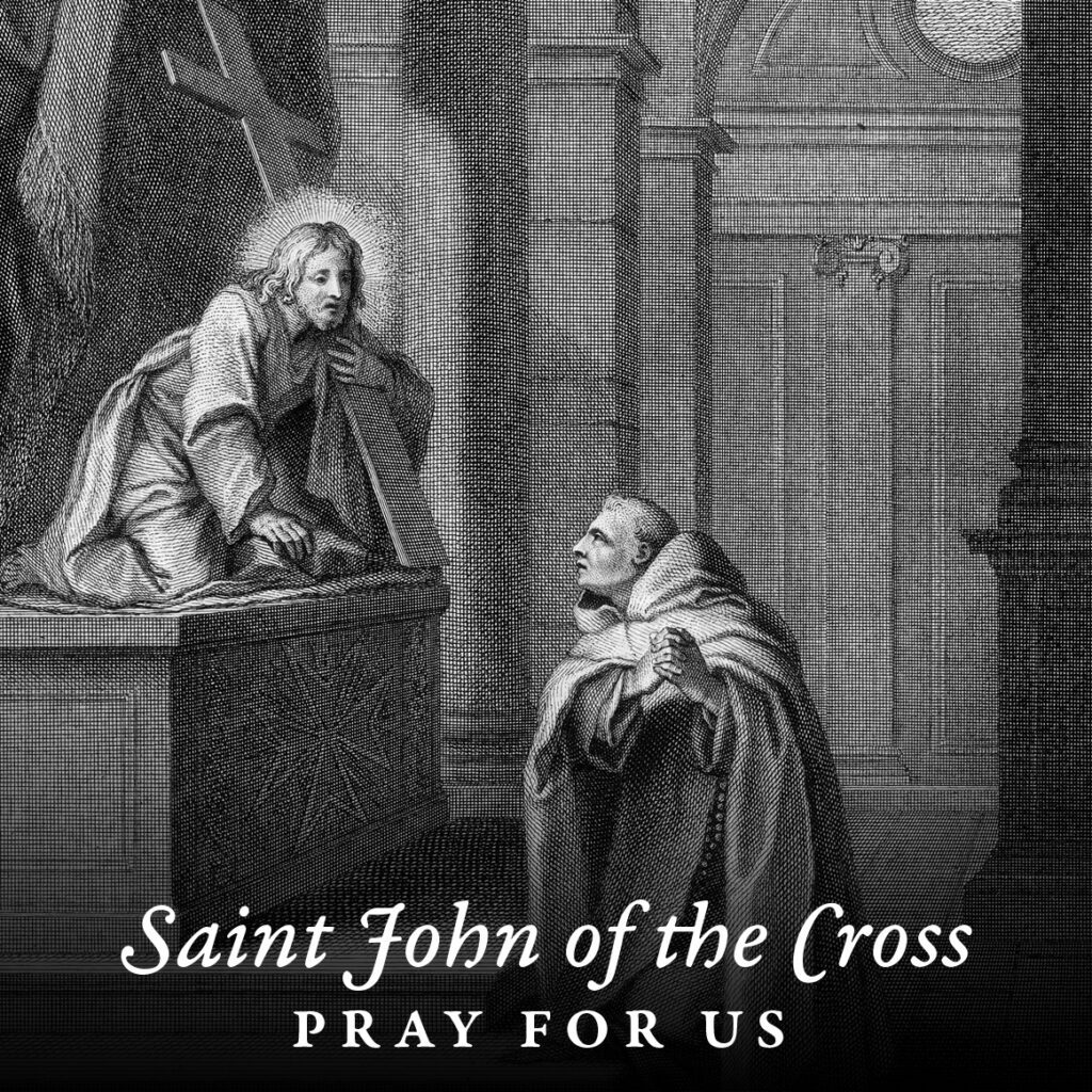 Collection – Diocesan Library of Art