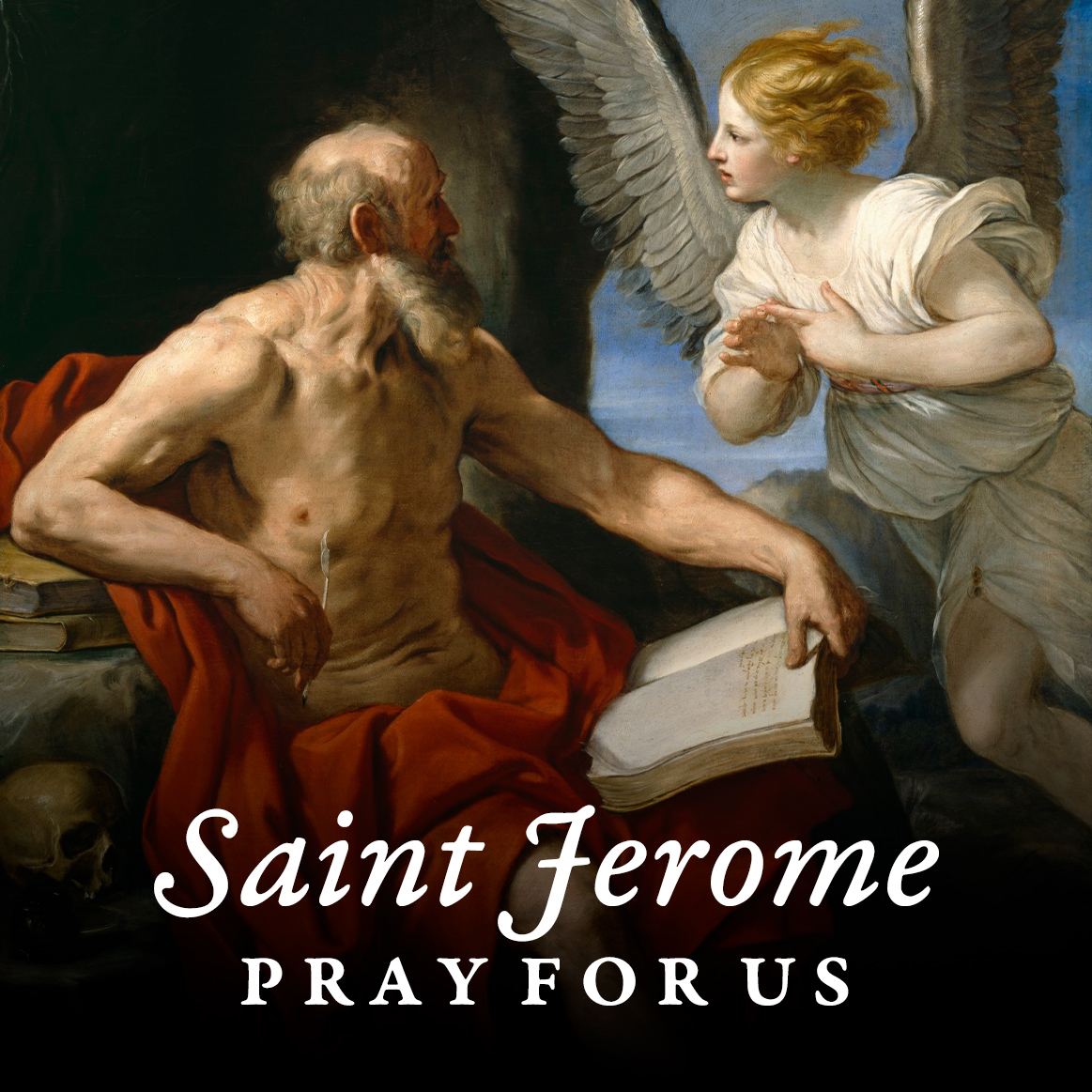 Collection – Diocesan Library of Art