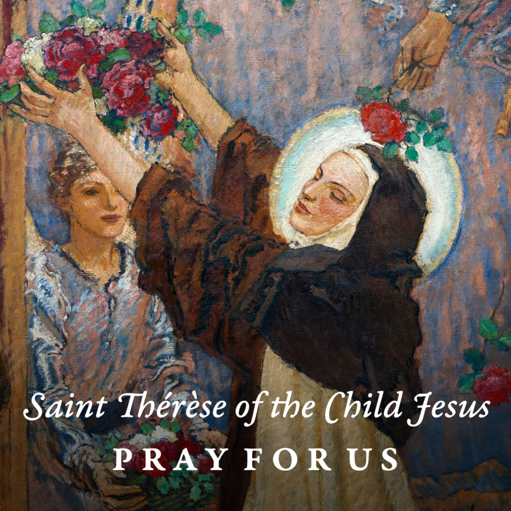 Collection – Diocesan Library of Art