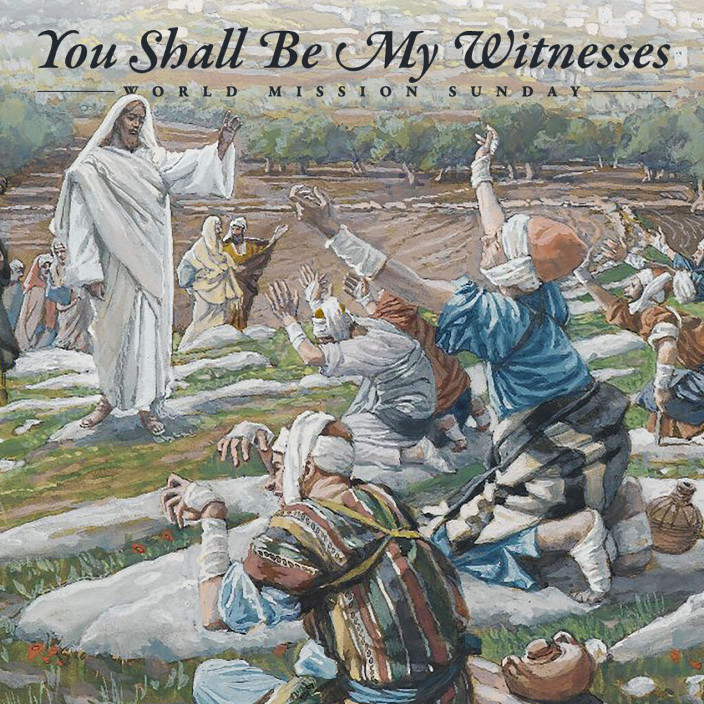 Collection – Diocesan Library of Art