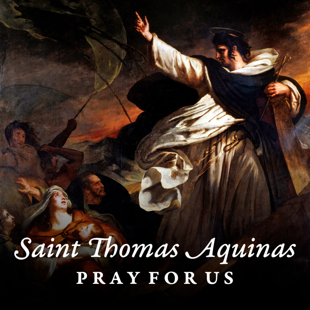 Diocesan Library of Art