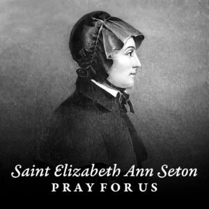 Collection – Diocesan Library of Art