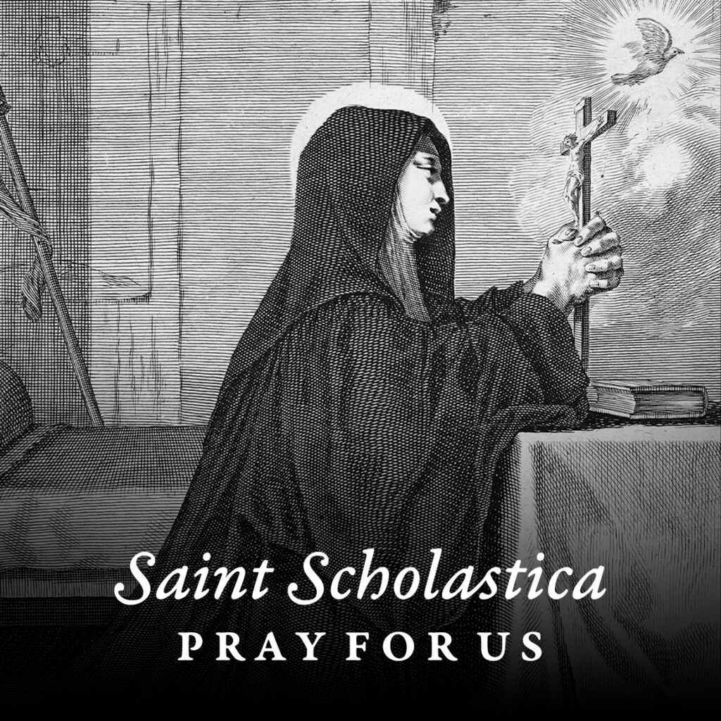 Collection – Diocesan Library of Art