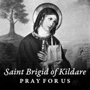 Collection – Diocesan Library of Art