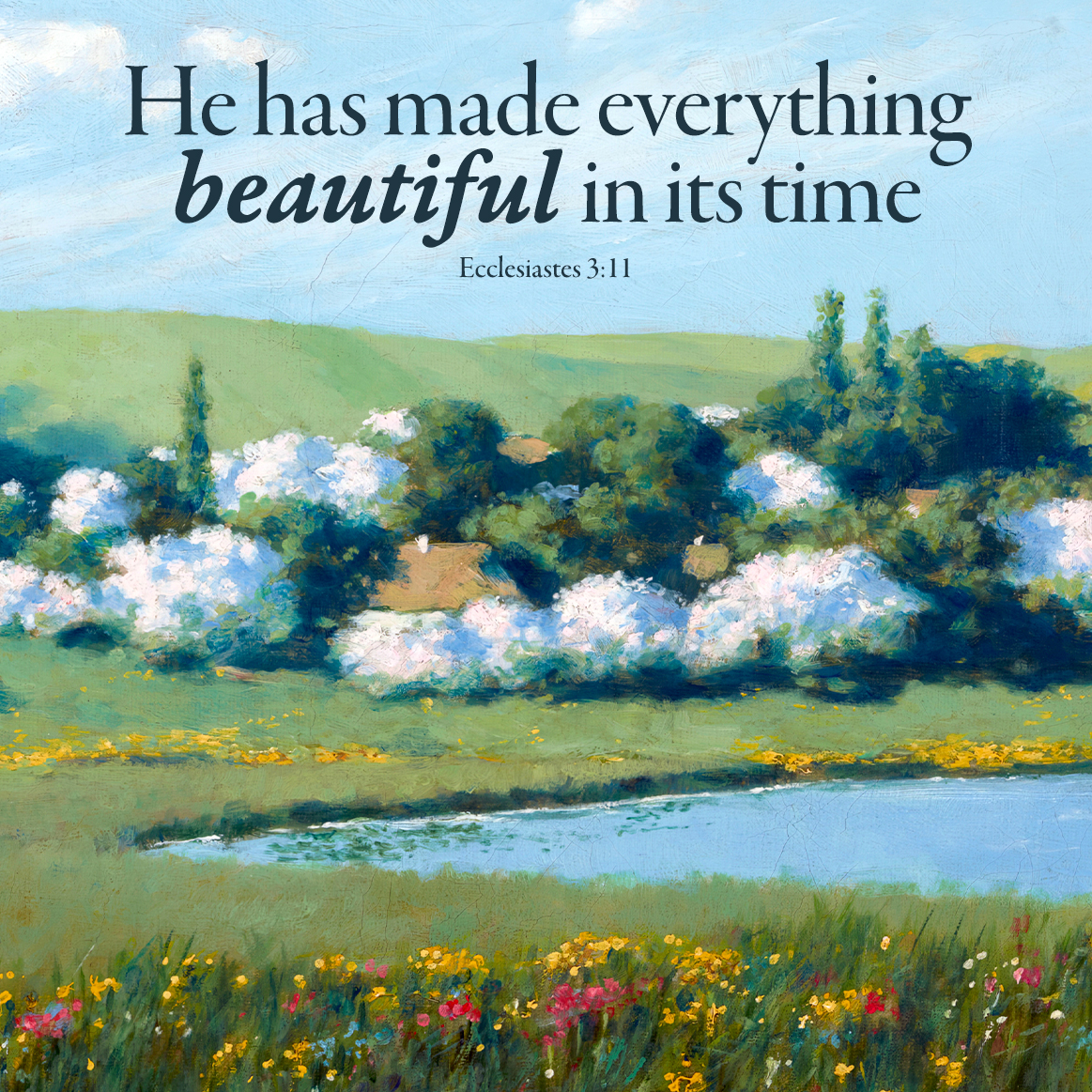 Collection – Diocesan Library of Art