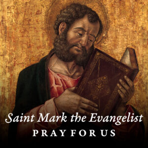 Collection – Diocesan Library of Art