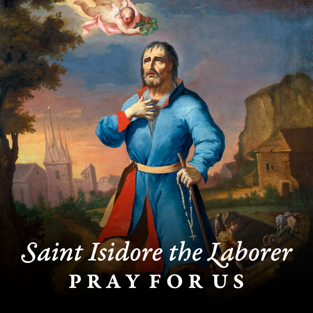 Collection – Diocesan Library of Art