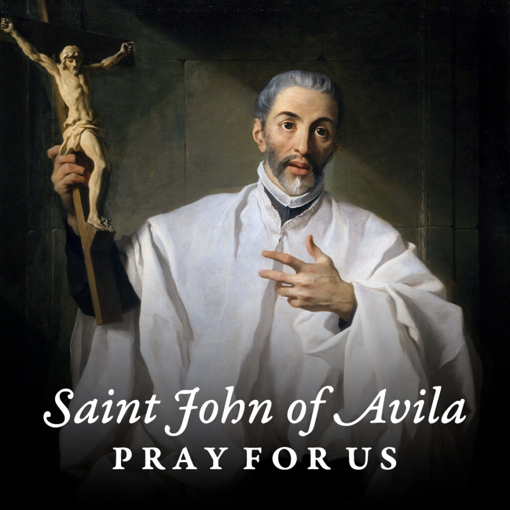 Collection – Diocesan Library of Art