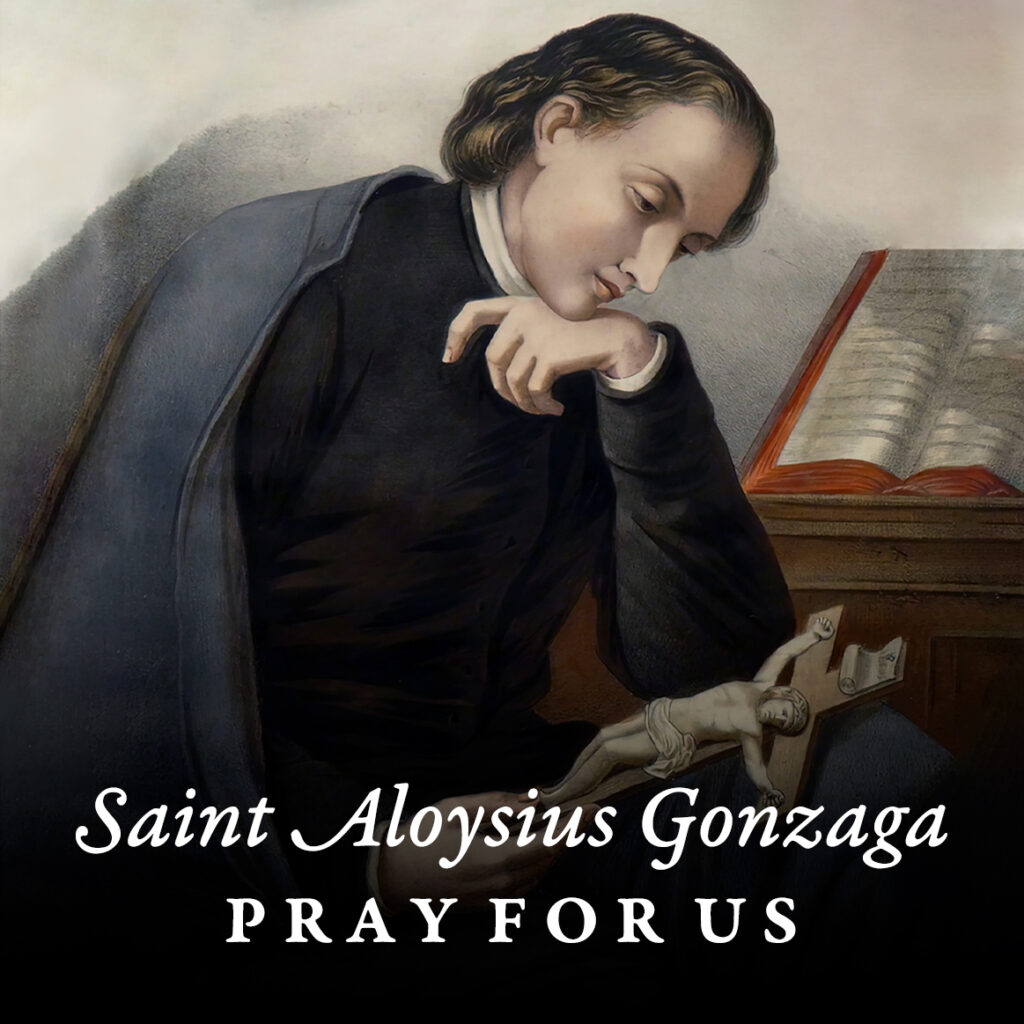 Collection – Diocesan Library of Art