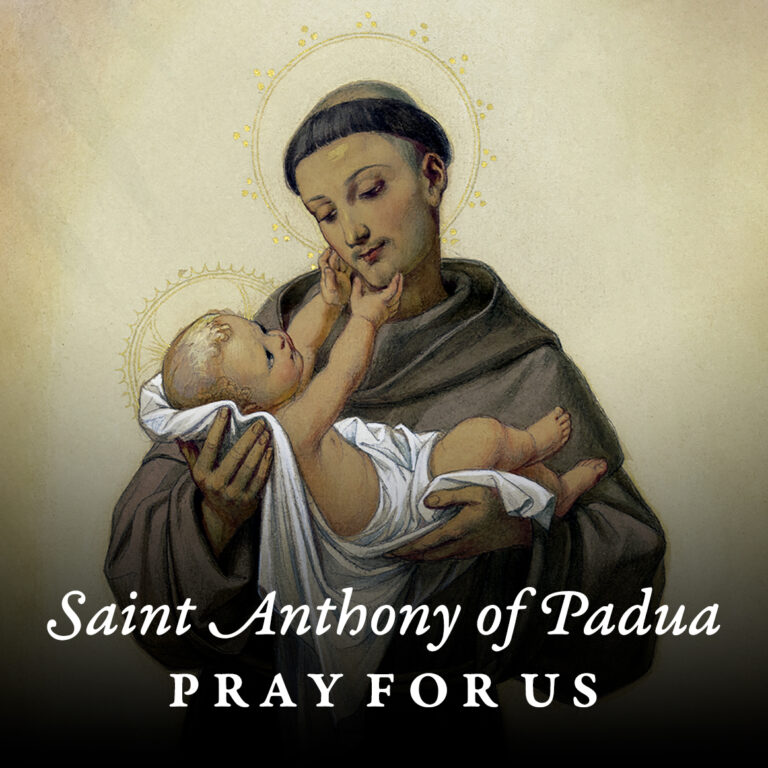 Collection – Diocesan Library of Art