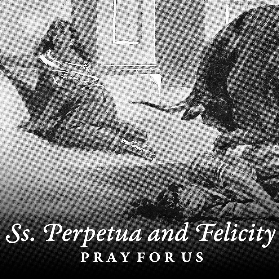 Collection – Diocesan Library of Art