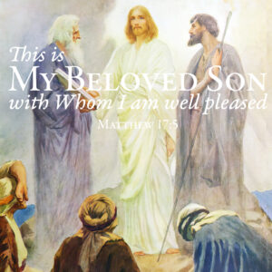 Collection – Diocesan Library of Art