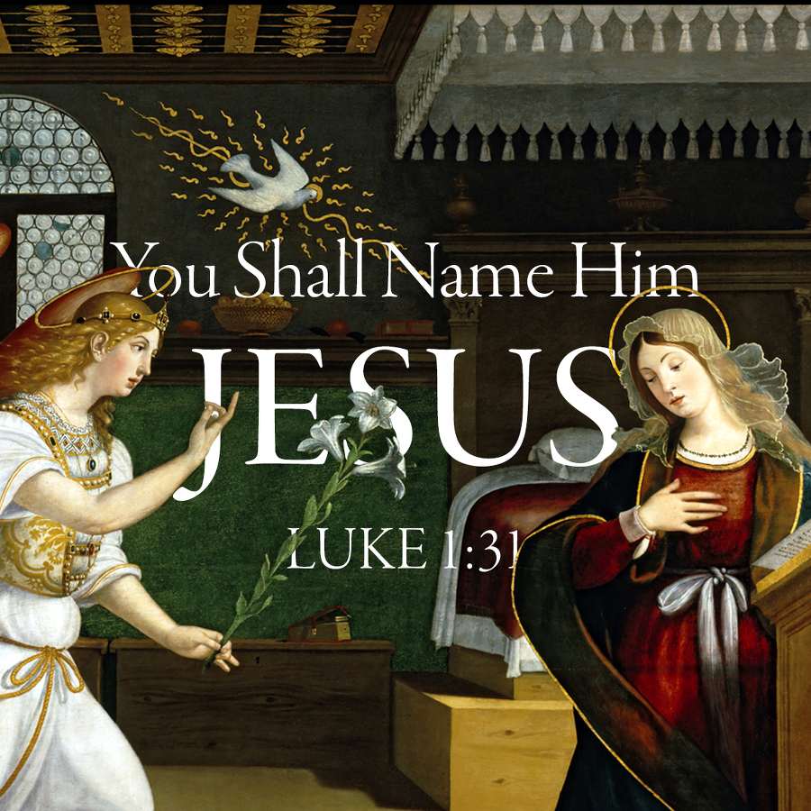 Collection – Diocesan Library of Art